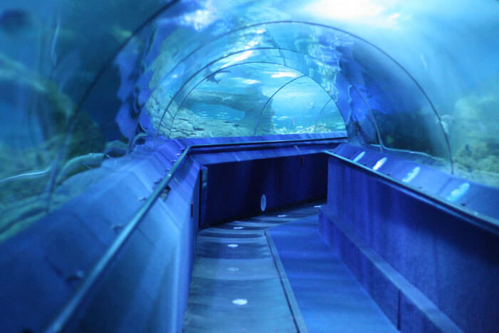 10 Phenomenal Places To Visit In Perth