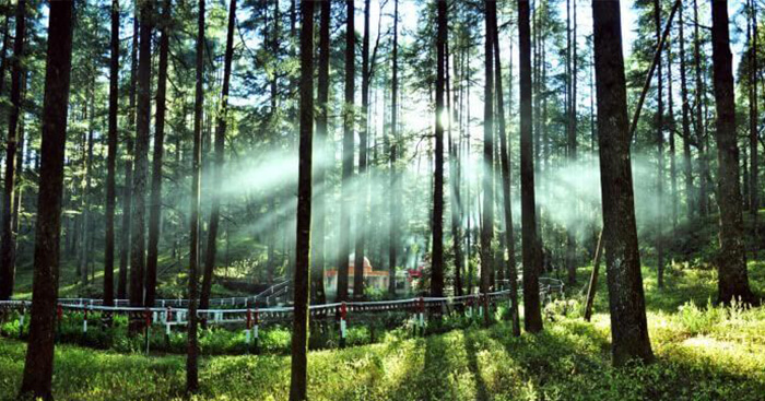 Top 14 Things To Do In Lansdowne For A Blissful Trip In 2024