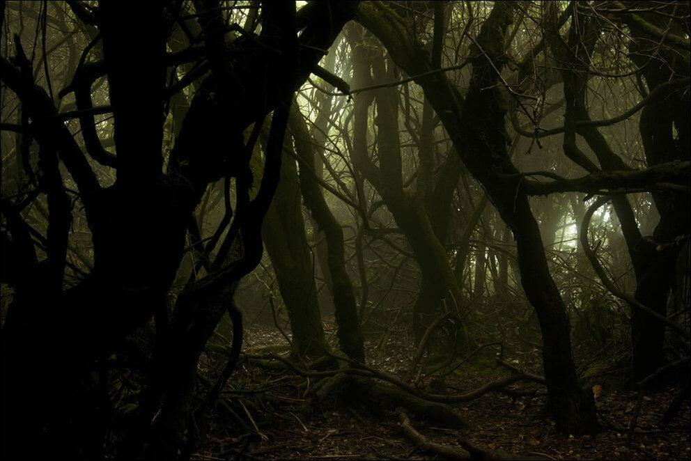 25 Locations That Look Scarier Than All Haunted Places