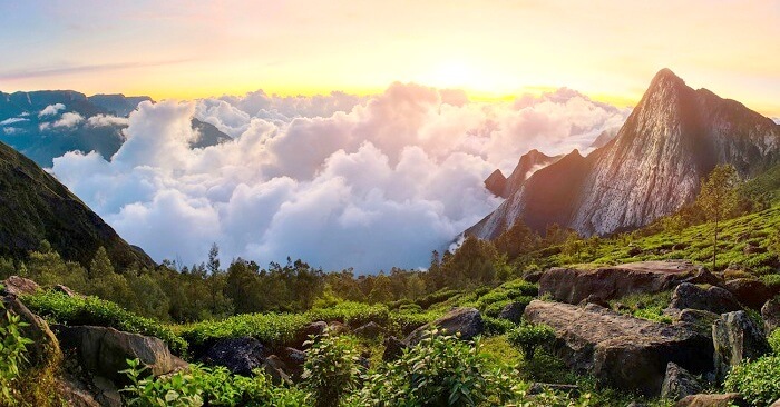 Munnar Temperature Dips Below Zero Degrees