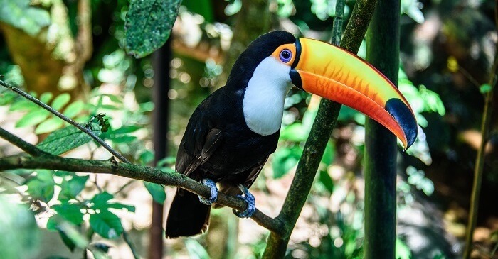 10 Brazil National Parks That All Travelers Must Explore
