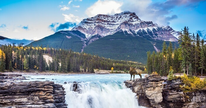 12 Enchanting Waterfalls In Canada One Must Definitely Visit!