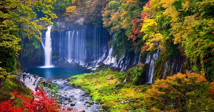 10 National Parks In Japan To Delight All Wildlife Fans!