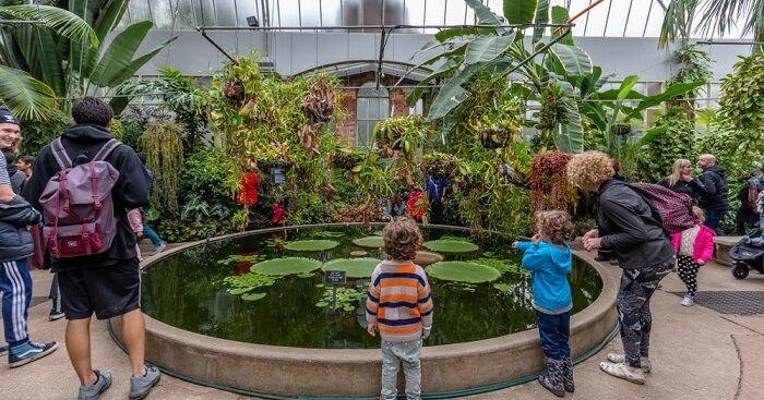 Auckland With Kids: Tour The City’s Best With Little Ones!