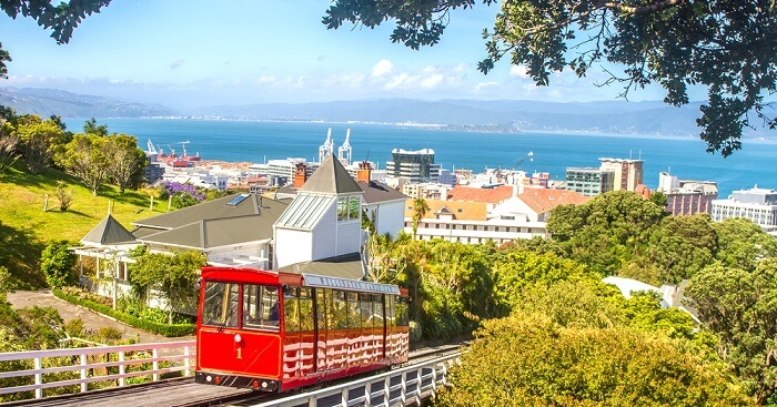 14 Things To Do In Wellington For An Unforgettable Vacation