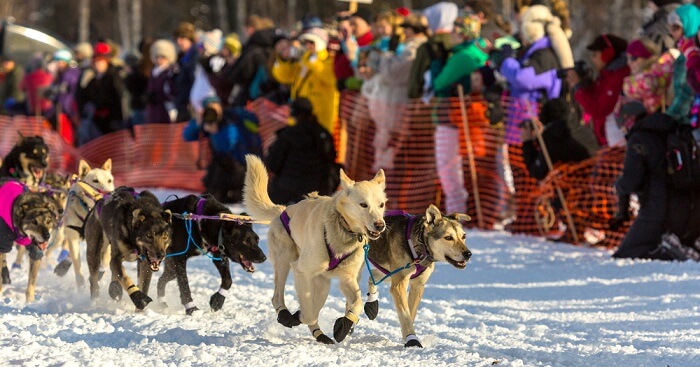 12 Interesting Festivals In Alaska: Rejoice Like The Alaskans