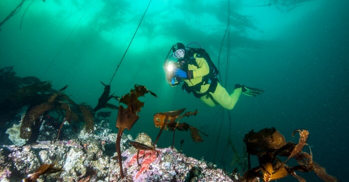 Enjoy Snorkelling In Canada In These 9 Picturesque Spots
