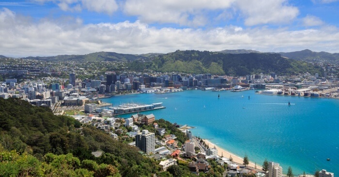 Wellington In Winter: 10 Things To Do To Make It Super Fun!