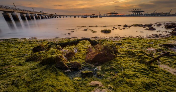 Labrador Nature Reserve: A Guide For All Nature Admirers!