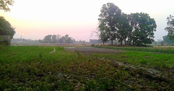 Nain Kheri Village: Heading Out For An Eco-Friendly Trip Yet?
