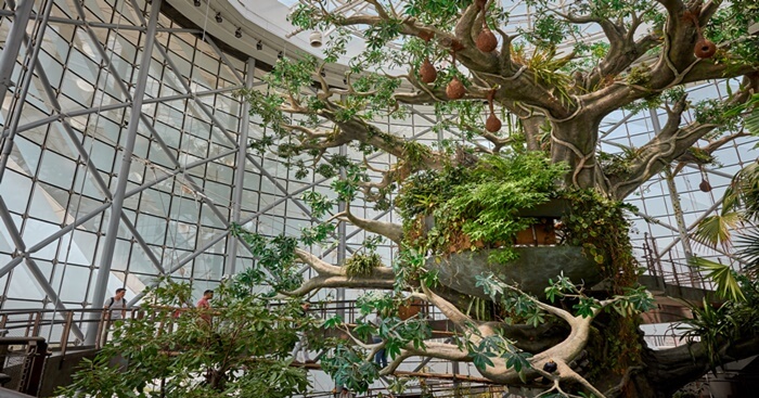 Indoor Forest In Dubai: A Must-Visit Place On Your Vacation